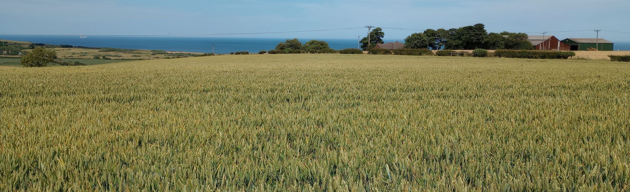 Brotton - Carlin How Circular: 2 Reviews, Map - North Yorkshire ...