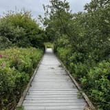 Devils Lake Boardwalk Trail, Oregon - 45 Reviews, Map | AllTrails