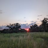 Gander Mountain Loop Trail, Illinois - 499 Reviews, Map | AllTrails