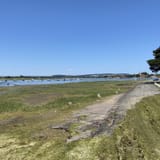 Itchenor Circular, West Sussex, England - 247 Reviews, Map | AllTrails