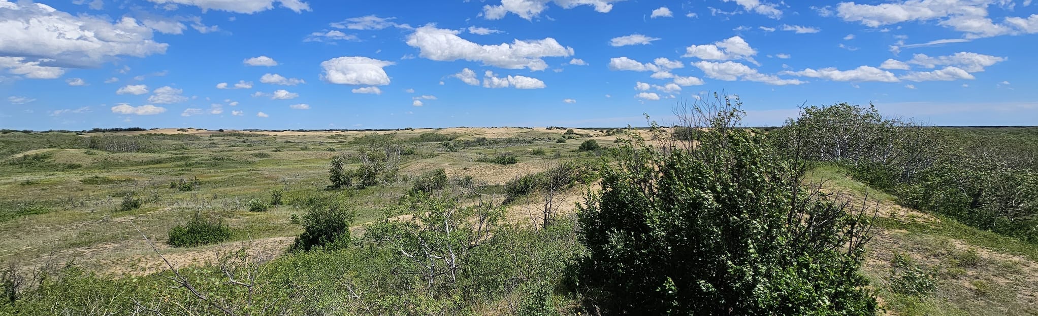 Douglas Provincial Park Sand Dunes: 147 foto - Saskatchewan, Canada ...