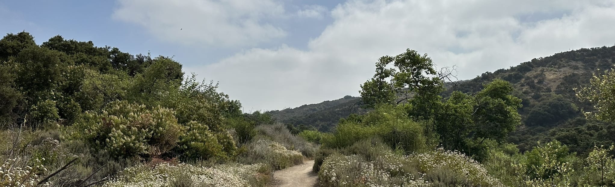 Lower Hectic and Cabellero Canyon Trail, California - 1,076 Reviews ...