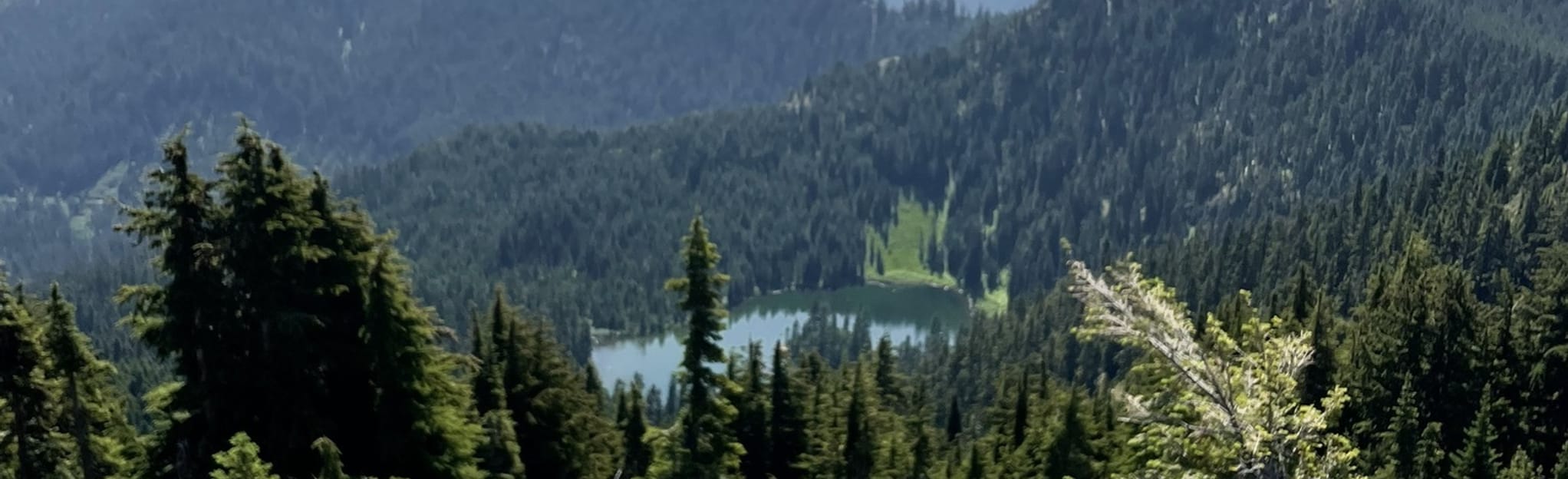 Thorp Mountain Trail, Washington - 175 Reviews, Map | AllTrails