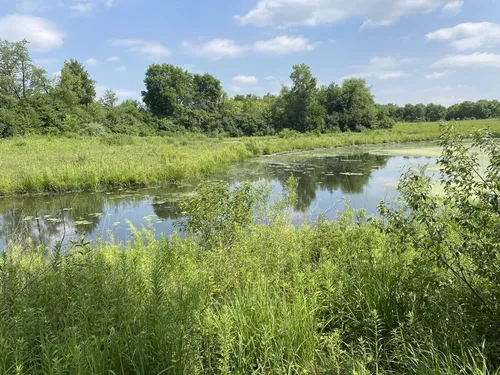 Best Hikes and Trails in Blackwell Forest Preserve | AllTrails