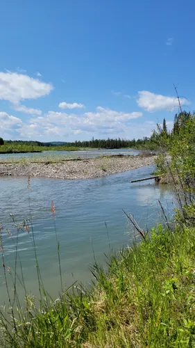 Best Hikes and Trails in Sundre Natural Area | AllTrails
