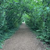 Pre's Trail, Oregon - 763 Reviews, Map | AllTrails