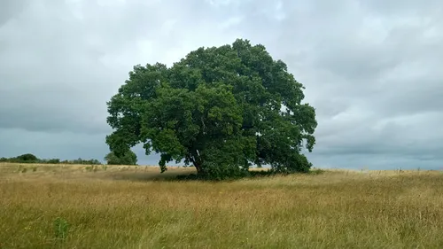 Best Hikes and Trails in Kiltoom | AllTrails