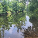 Struble Trail, Pennsylvania - 1,058 Reviews, Map | AllTrails