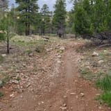 Sandy Seep Trail, Arizona - 675 Reviews, Map | AllTrails