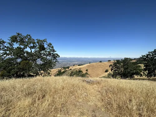 10 Best Trails and Hikes in Mount Hamilton | AllTrails