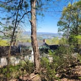 Upper Guild Trail, Tennessee - 481 Reviews, Map | AllTrails