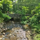 Struble Trail, Pennsylvania - 1,058 Reviews, Map | AllTrails