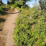 Bogus Basin Loop Trail, Idaho - 252 Reviews, Map | AllTrails