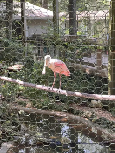 Best Hikes and Trails in Ellie Schiller Homosassa Springs Wildlife ...