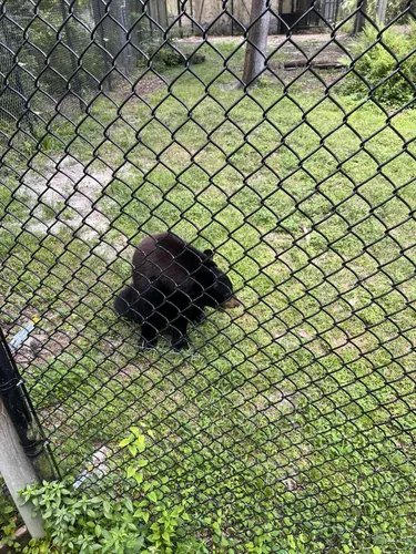 Best Hikes and Trails in Ellie Schiller Homosassa Springs Wildlife ...