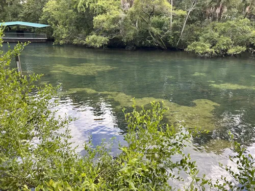 Best Hikes and Trails in Ellie Schiller Homosassa Springs Wildlife ...
