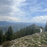 Cinnamon Mountain Trail, Montana - 209 Reviews, Map | AllTrails