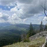 Cinnamon Mountain Trail, Montana - 209 Reviews, Map | AllTrails