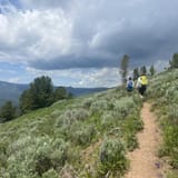 Cinnamon Mountain Trail, Montana - 209 Reviews, Map | AllTrails
