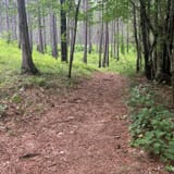 Indian Springs Multi-Use Trail, Georgia - 750 Reviews, Map | AllTrails