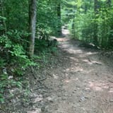 Indian Springs Multi-Use Trail, Georgia - 750 Reviews, Map | AllTrails
