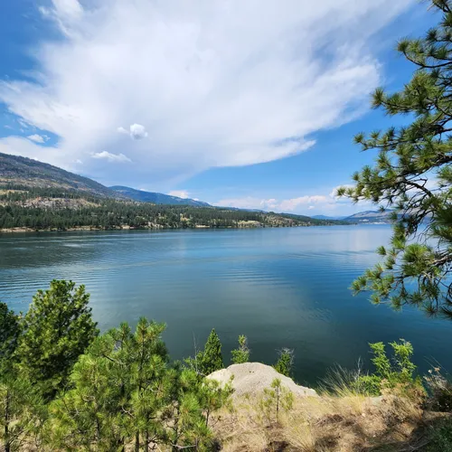 Beste wandelingen en routes in Lake Roosevelt National Recreation Area ...