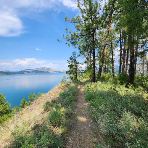 Beste wandelingen en routes in Lake Roosevelt National Recreation Area ...