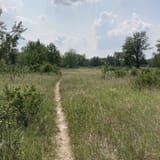Wyndham-Carseland Provincial Park Trails, Alberta, Canada - 82 Reviews ...