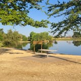 Gibson Ranch Regional Park Loop Trail , California - 303 Reviews, Map ...