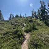 Guye Peak Trail, Washington - 392 Reviews, Map | AllTrails
