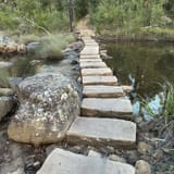 Berrara Waterfall, New South Wales, Australia - 62 Reviews, Map | AllTrails