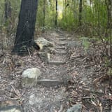 Berrara Waterfall, New South Wales, Australia - 45 Reviews, Map | AllTrails