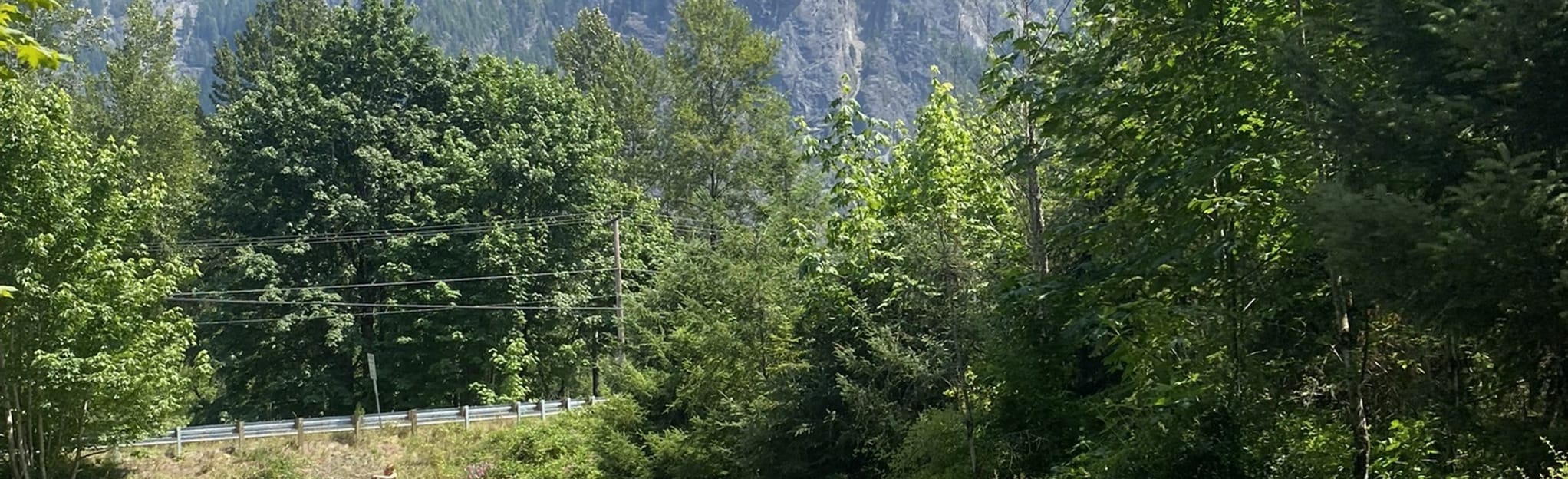 Three Forks Snoqualmie River Trail: 13 foto's - Washington | AllTrails