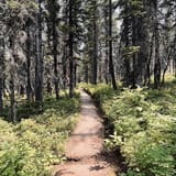 Upper Two Medicine Lake via Two Medicine South Shore Trail, Montana ...