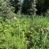 Hyas Lake Trail, Washington - 204 Reviews, Map | AllTrails