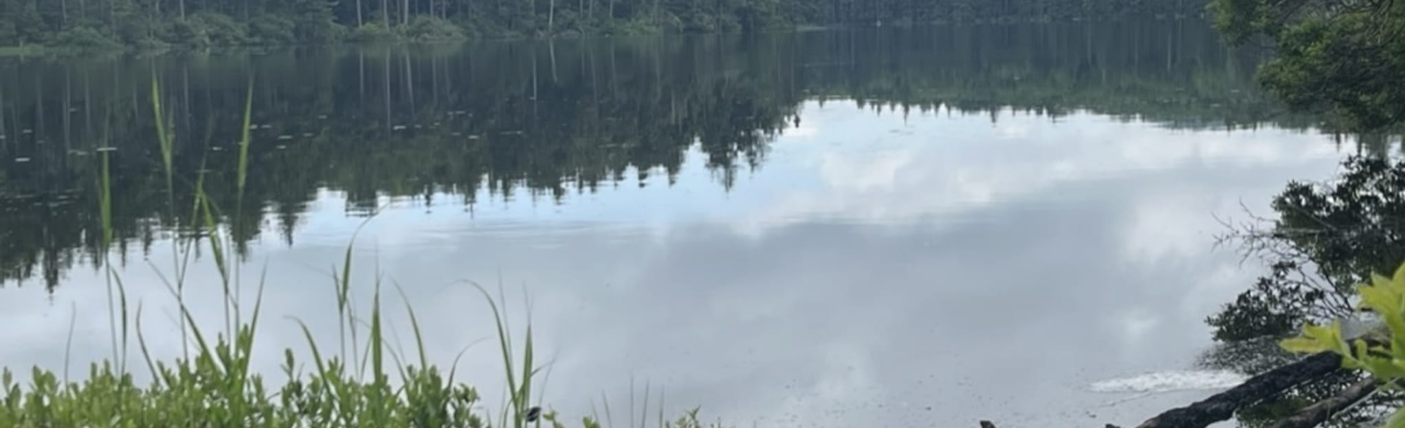 Griffith Lake Loop: 88 Reviews, Map - Vermont | AllTrails