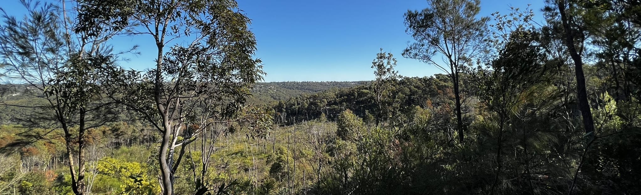 Timber Getters, Bluff, Gahnia and Engraving Tracks Loop: 564 bilder ...