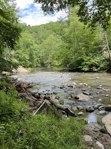 Best Hikes and Trails in New River Trail State Park | AllTrails