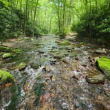 Devil's Hole Trail, Pennsylvania - 478 Reviews, Map | AllTrails