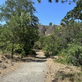 Catherine Creek Arch Loop, Washington - 889 Reviews, Map | AllTrails