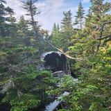 Mount Success via Appalachian Trail, New Hampshire - 391 Reviews, Map ...
