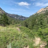 Tongue River Canyon, Wyoming - 560 Reviews, Map | AllTrails