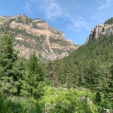 Tongue River Canyon, Wyoming - 560 Reviews, Map | AllTrails