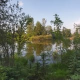 Rundle Park Riverside Trail, Alberta, Canada - 217 Reviews, Map | AllTrails