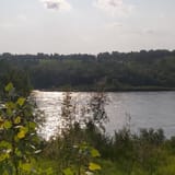 Rundle Park Riverside Trail, Alberta, Canada - 217 Reviews, Map | AllTrails