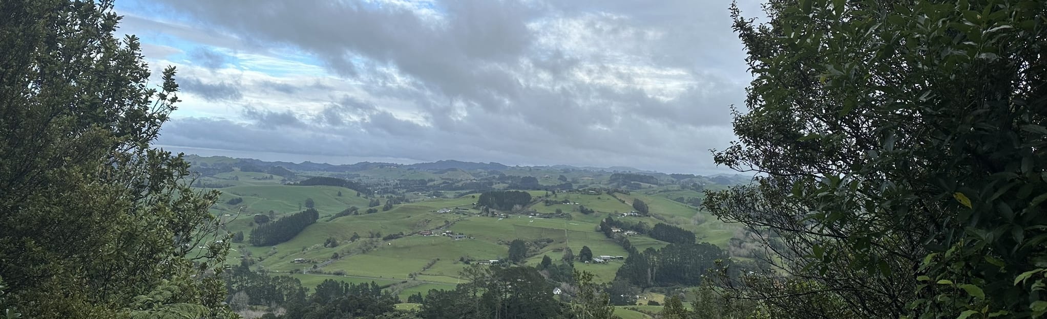 Wairoa Loop Track and Suspension Bridge Track: 198 Reviews, Map ...