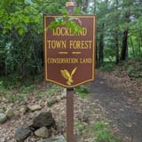 Rockland Town Forest, Massachusetts - 225 Reviews, Map | AllTrails