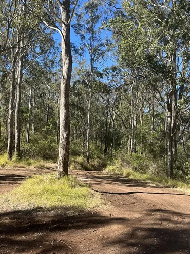 Best Hikes and Trails in Lockyer National Park | AllTrails