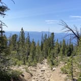 Trapper Peak Trail, Montana - 303 Reviews, Map | AllTrails