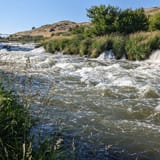 Link River Trail, Oregon - 480 Reviews, Map | AllTrails